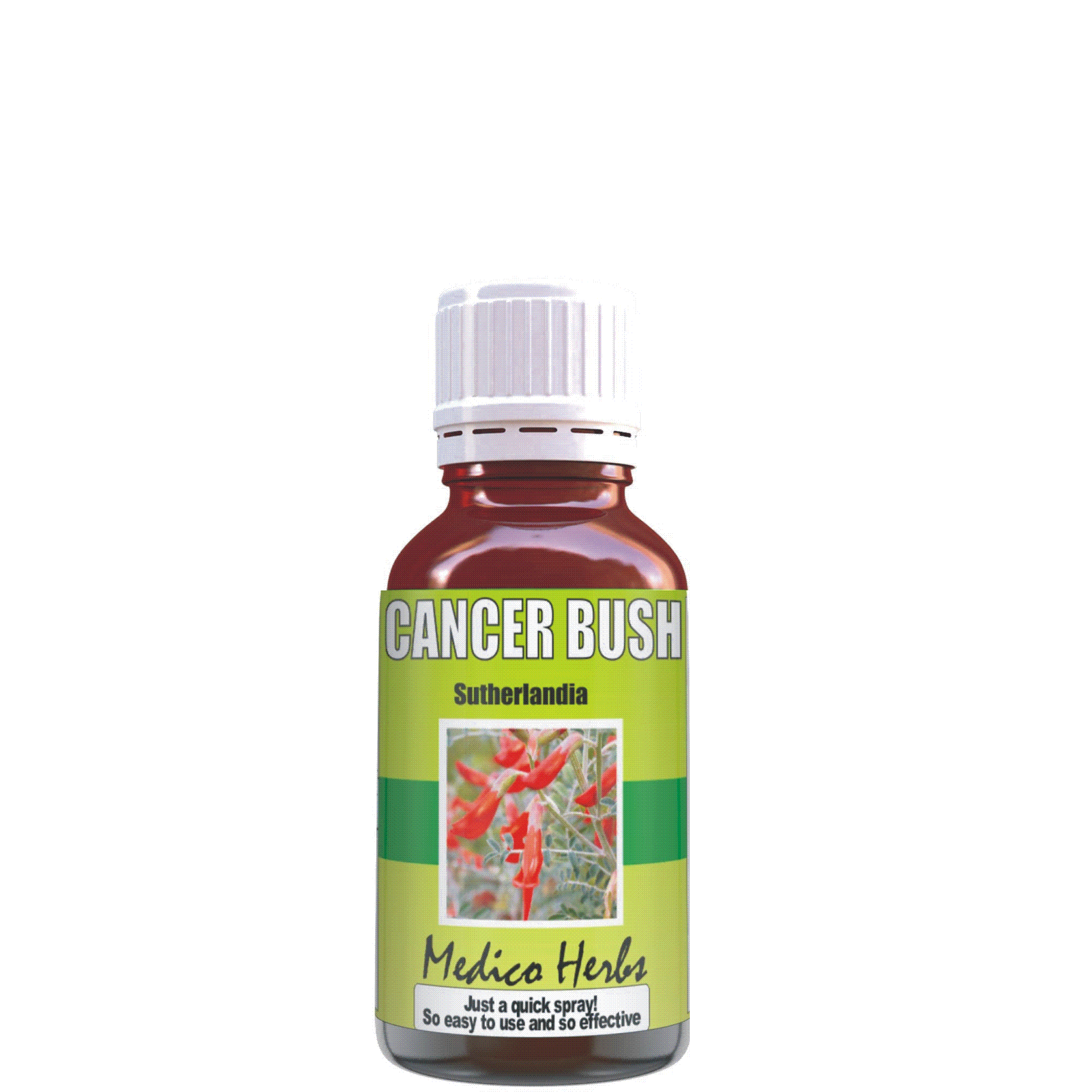 Sutherlandia Frutescens Drops (50ml)